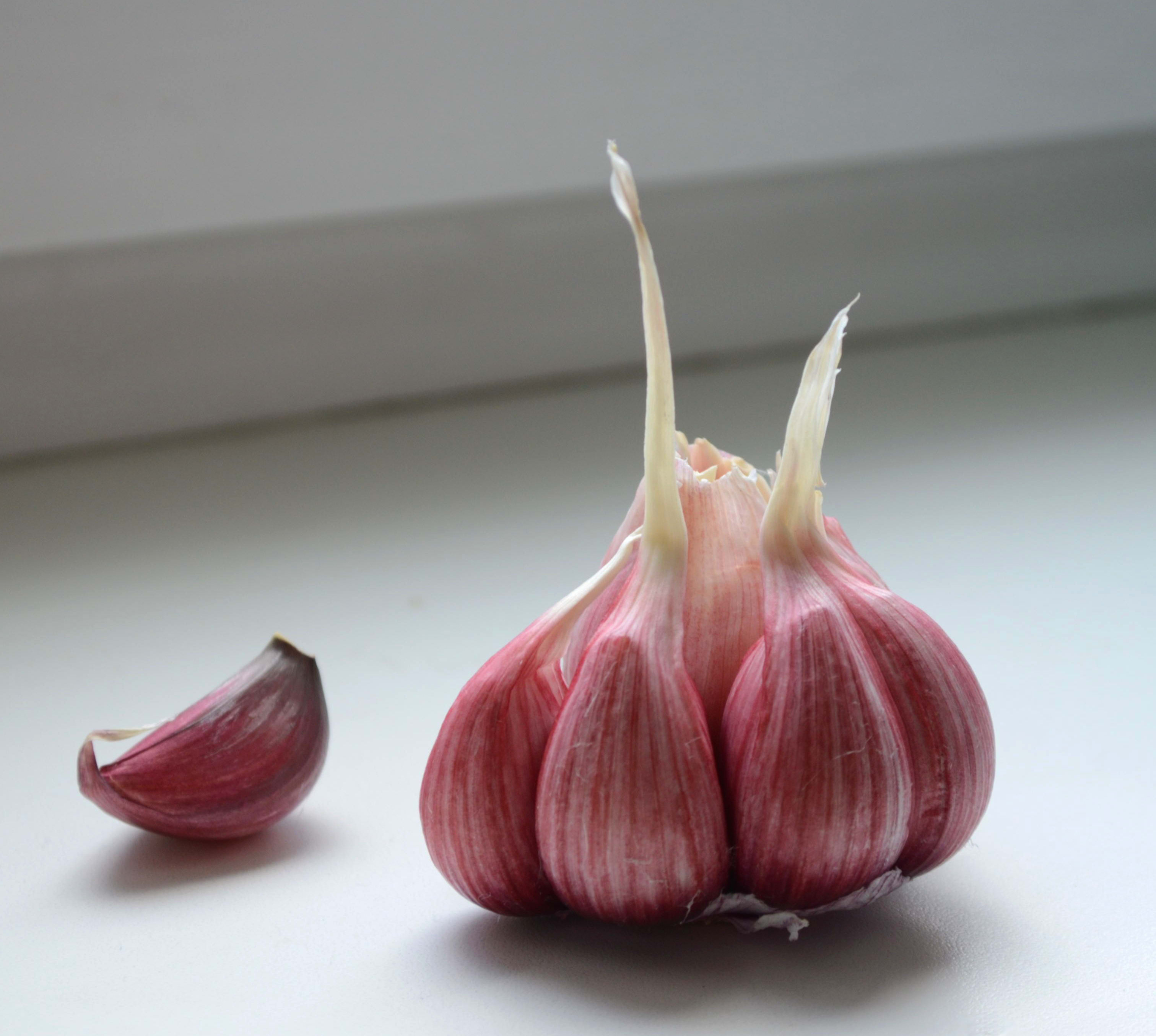 The Best Vegetables to Grow Indoors - Dengarden