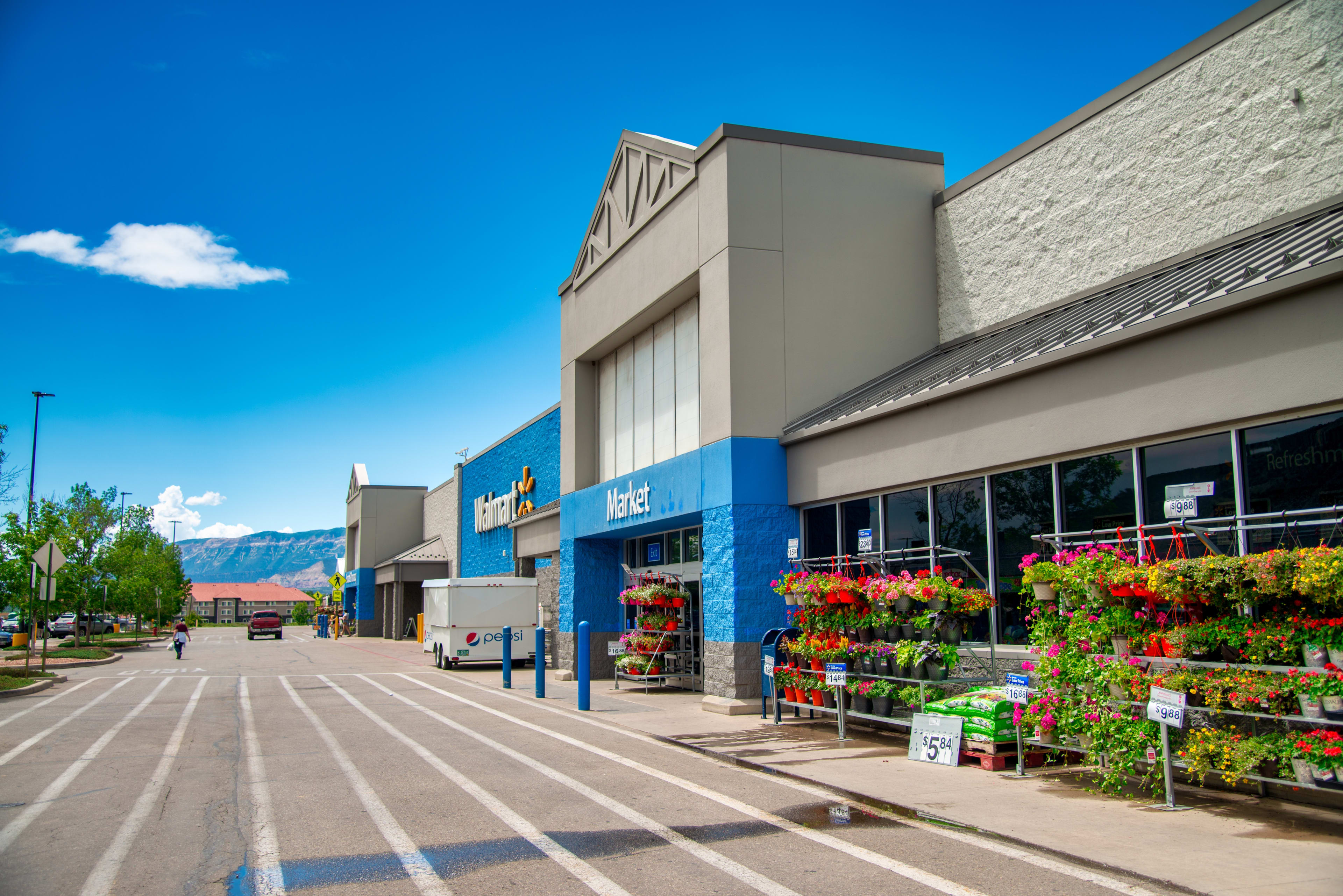 This Walmart Plant Pot Can Be Used in Your Kitchen in a Fun Way - Dengarden