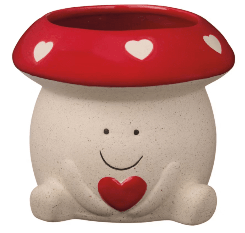Aldi Is Selling a Cute $4 Mushroom Planter For Valentine's Day - Dengarden