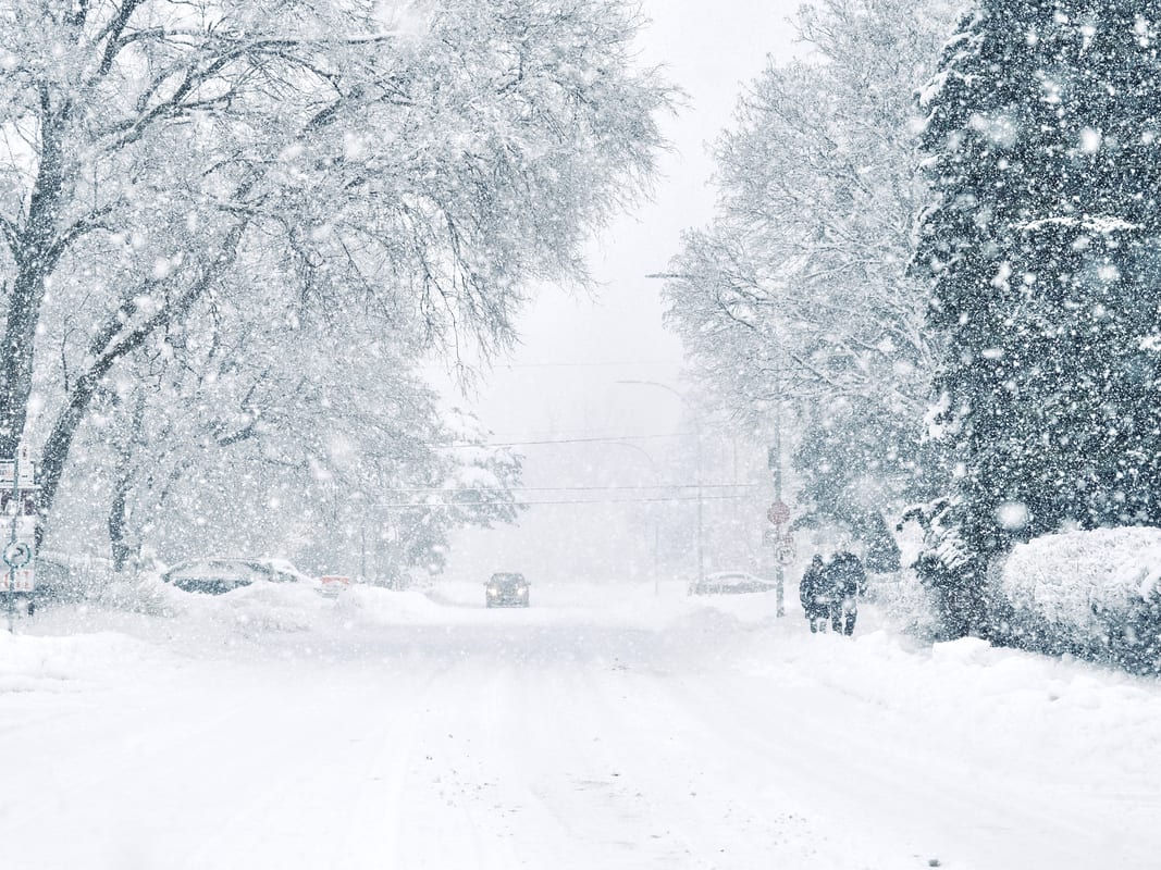 Brunch With Babs Shares Winter Storm Prep Tips You Need to Know - Dengarden