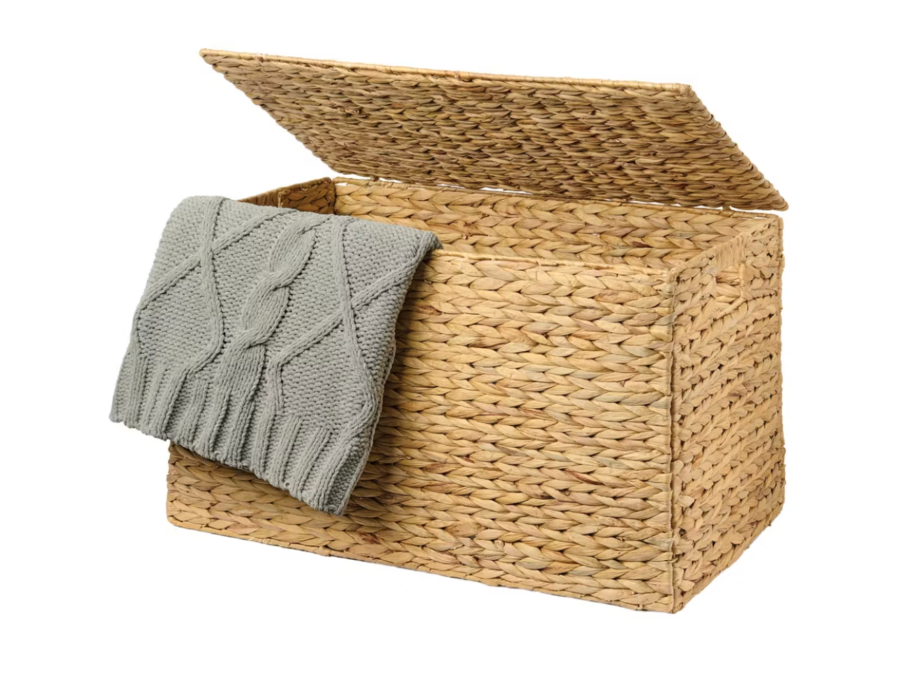 Aldi Has Cute and Convenient Collapsible Storage Trunks Now - Dengarden