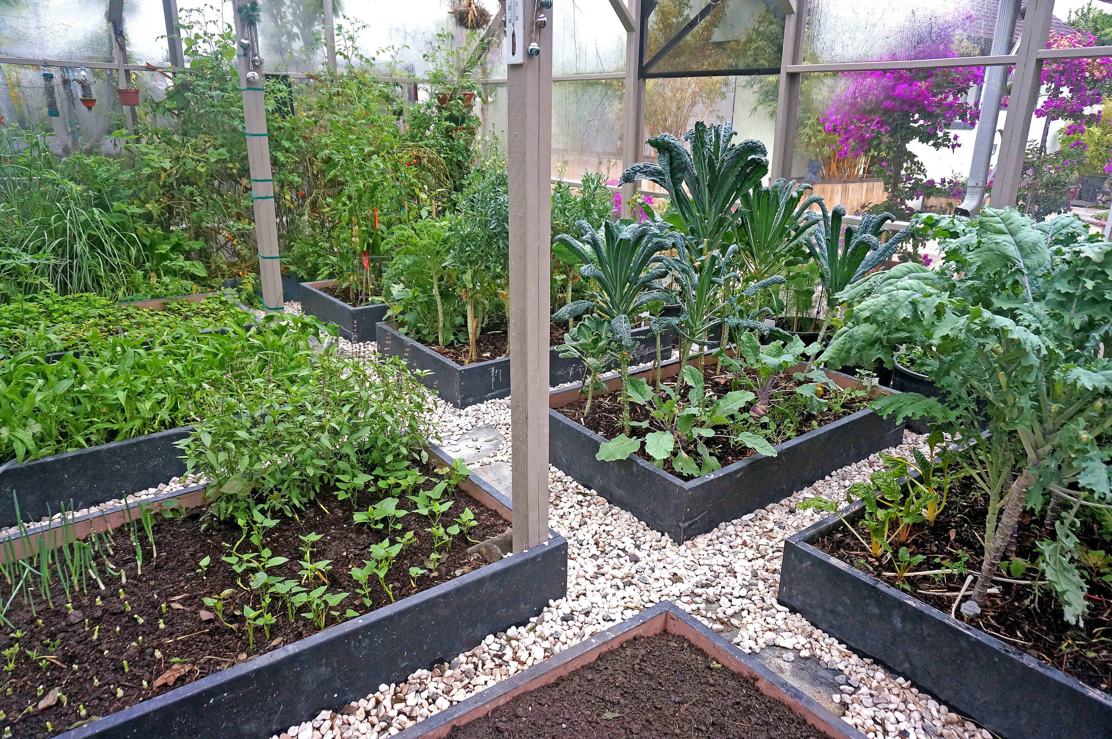 What Is Crop Rotation and What Can It Do for Your Garden? - Dengarden